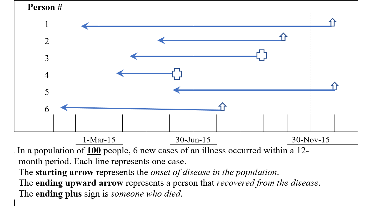 Solved Person # 1 2 3 4 5 6 1-Mar-15 30-Jun-15 30-Nov-15 In | Chegg.com