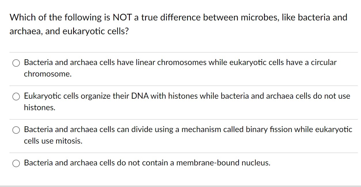 Archaeal Cells Vs Bacterial Cells