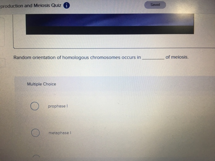 Solved: Production And Meiosis Quiz Saved Random Orientati... | Chegg.com