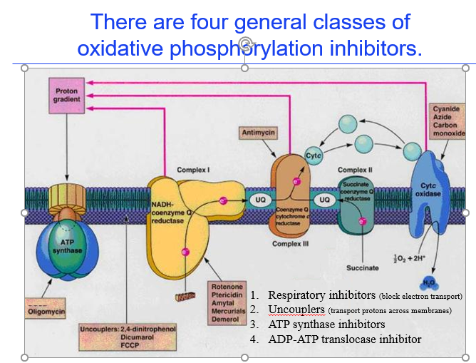 Solved ***Please study the labels before answering | Chegg.com