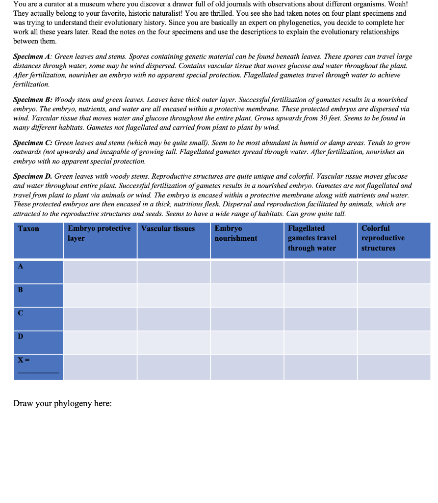 You are a curator at a museum where you discover a | Chegg.com