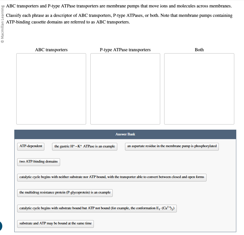 Solved ABC transporters and P-type ATPase transporters are | Chegg.com
