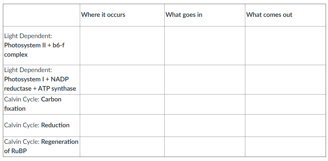 Solved Build a photosynthesis study table: Part of | Chegg.com