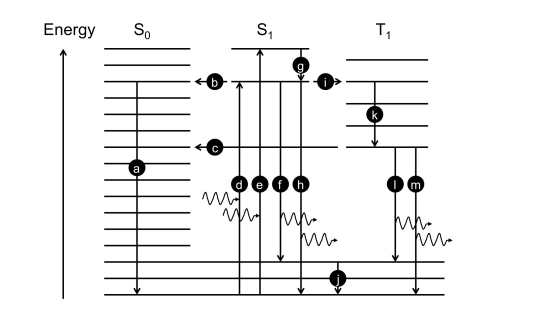Solved The simplified electronic/vibrational/rotational | Chegg.com