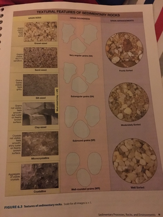 Solved COMPOSITIONAL CLASSIFICATION OF SEDIMENT AND | Chegg.com