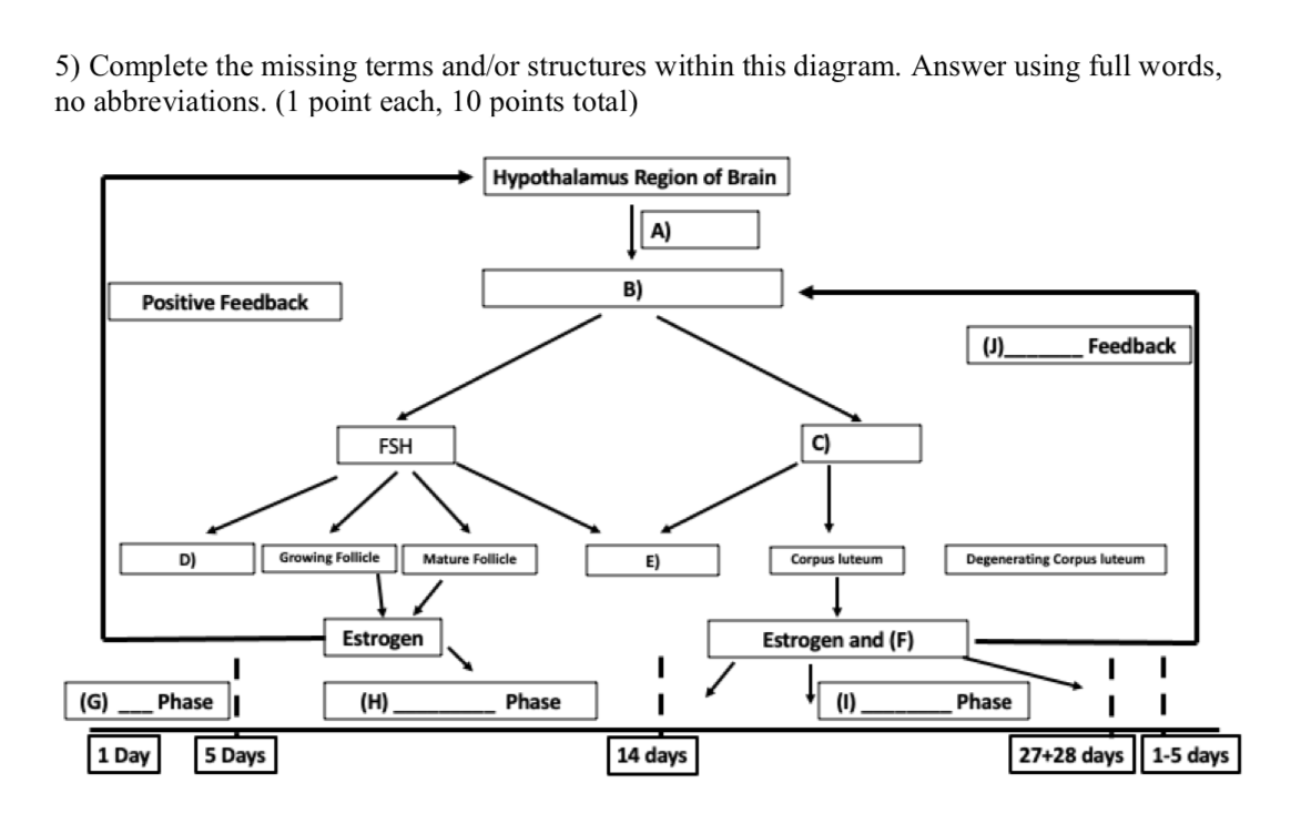 Solved 5) Complete the missing terms and/or structures | Chegg.com