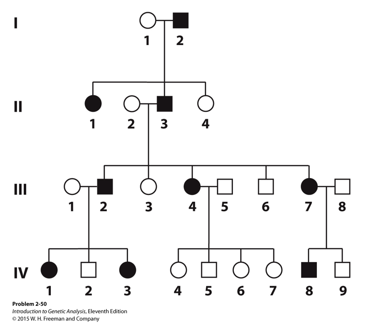 Solved 2015 W. H. Freeman and Company | Chegg.com