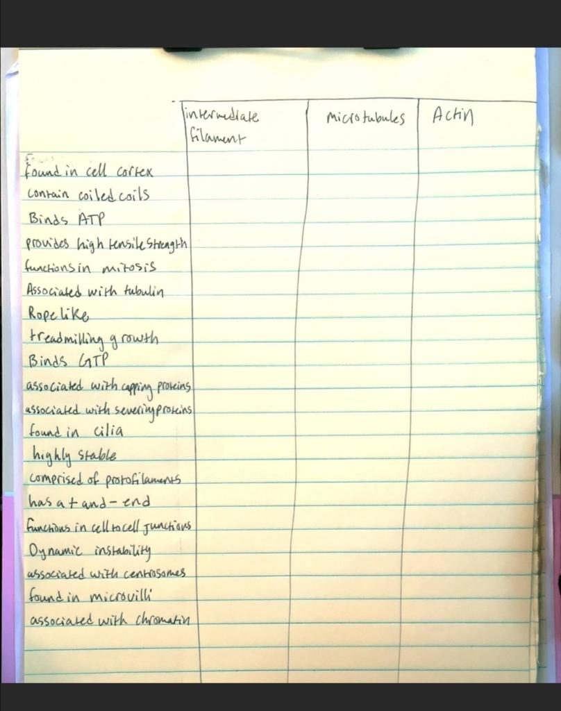 Solved microtubules / Actin intermediate I filament Found in | Chegg.com