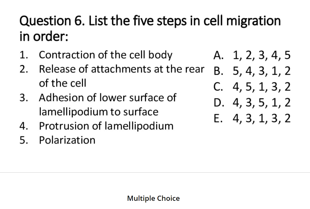 Solved Question 6. List the five steps in cell migration in | Chegg.com
