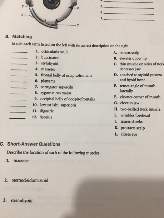 Solved 5. 6. B. Matching Match each term listed on the left | Chegg.com
