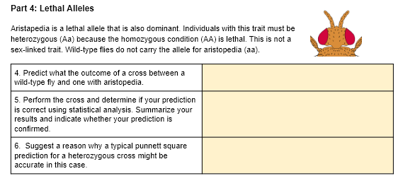 Solved Part 4: Lethal Alleles Aristapedia is a lethal allele | Chegg.com