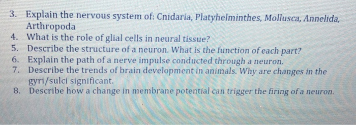 Solved 3. Explain the nervous system of: Cnidaria, | Chegg.com