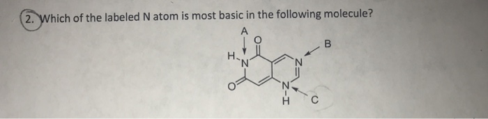 Solved 2Which of the labeled N atom is most basic in the | Chegg.com