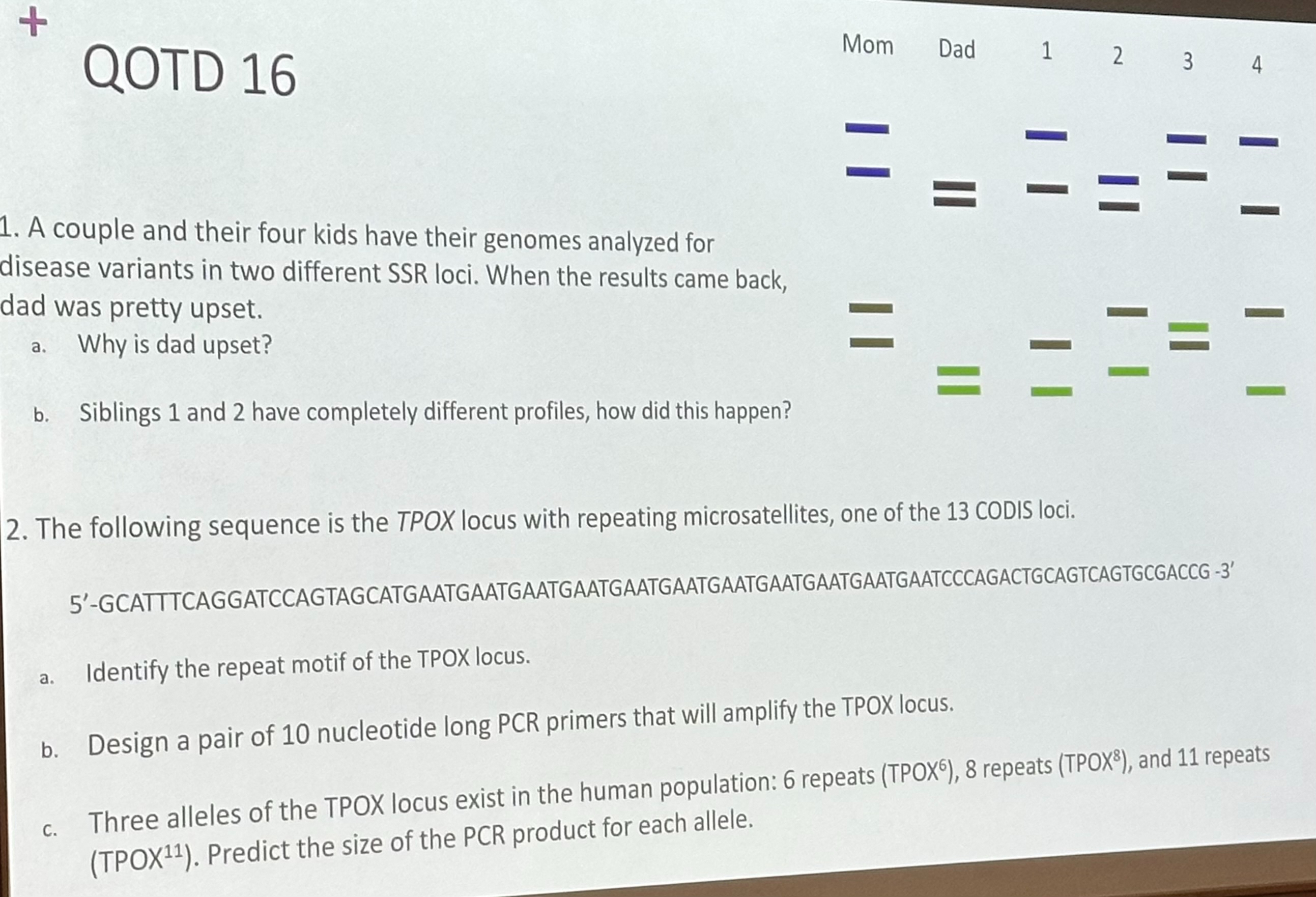 Solved A couple and their four kids have their genomes | Chegg.com