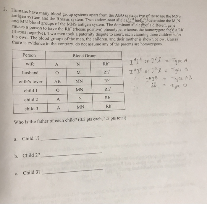 Solved 3. Humans have many blood group systems apart f | Chegg.com