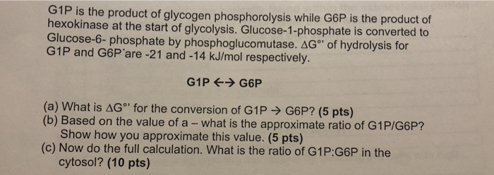 Solved G1P is the product of glycogen phosphorolysis while | Chegg.com