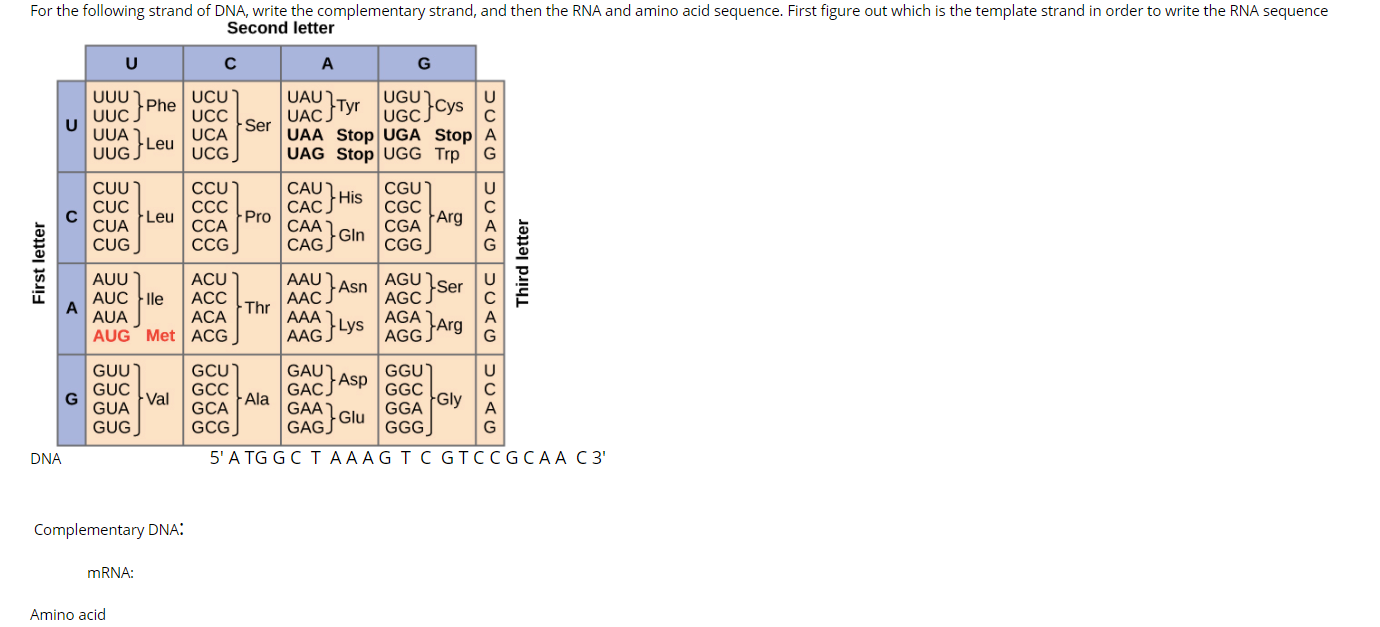 Solved For the following strand of DNA, write the | Chegg.com