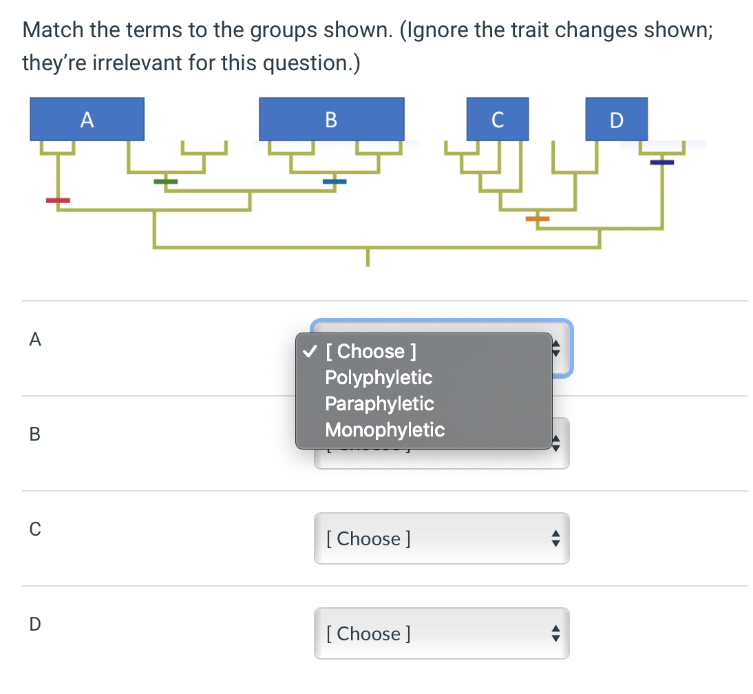 Solved Match the terms to the groups shown. (Ignore the | Chegg.com