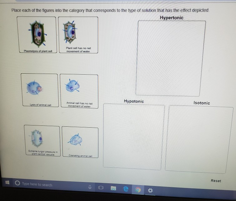 Solved Place each of the figures into the category that | Chegg.com