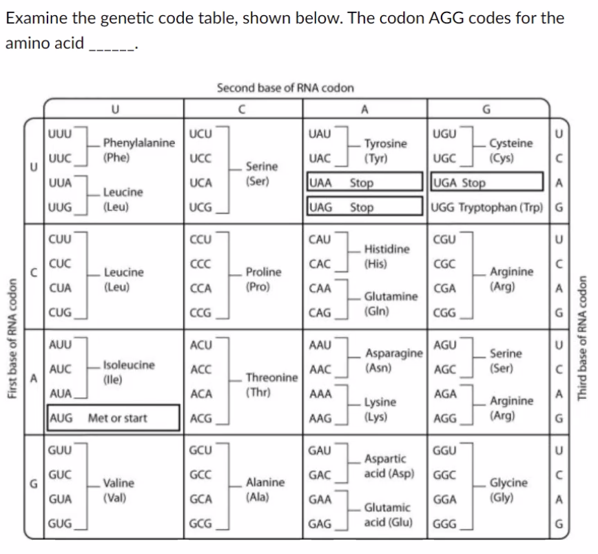 Solved Examine the genetic code table, shown below. The | Chegg.com