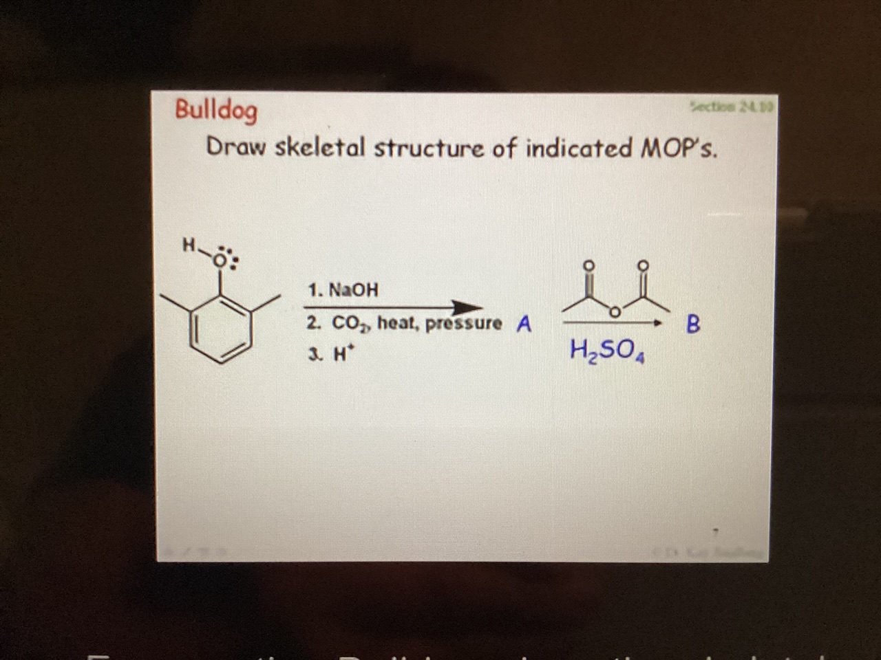 Solved Bulldog Draw skeletal structure of indicated MOP's. | Chegg.com