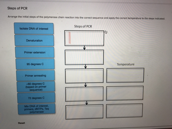 Solved Steps of PCIR Arrange the Initial steps of the | Chegg.com