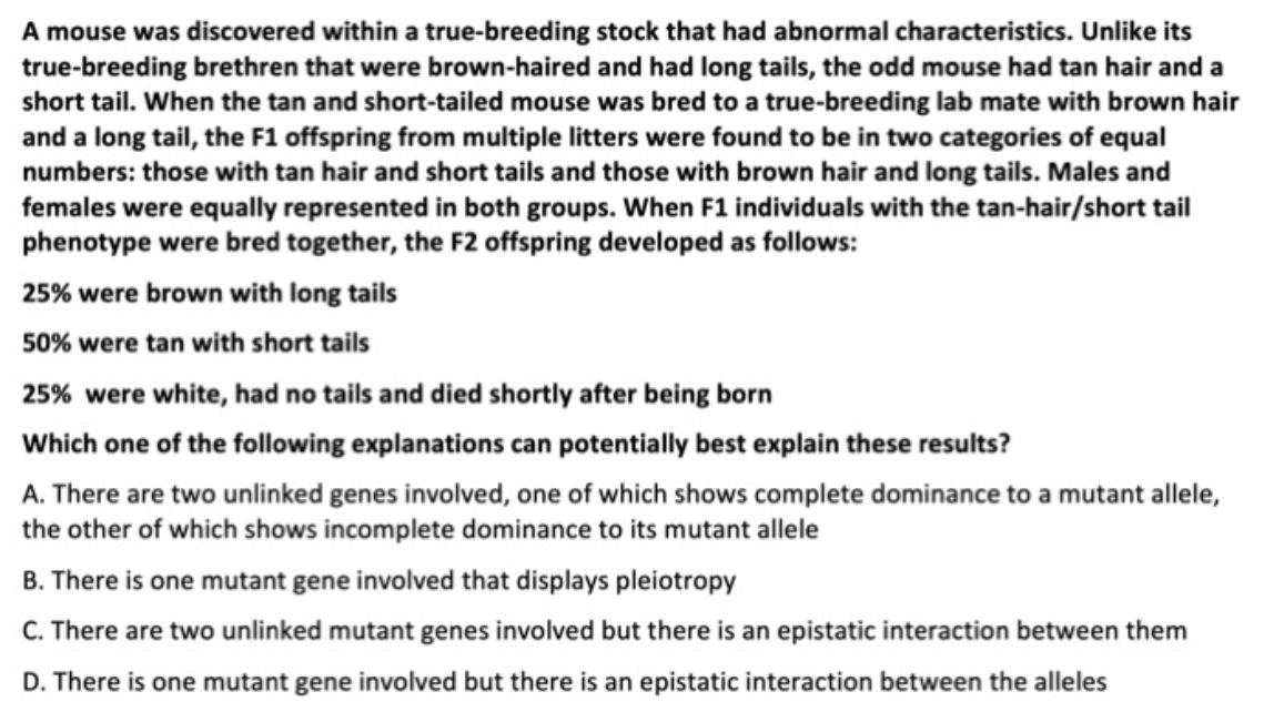 Solved A mouse was discovered within a true-breeding stock | Chegg.com