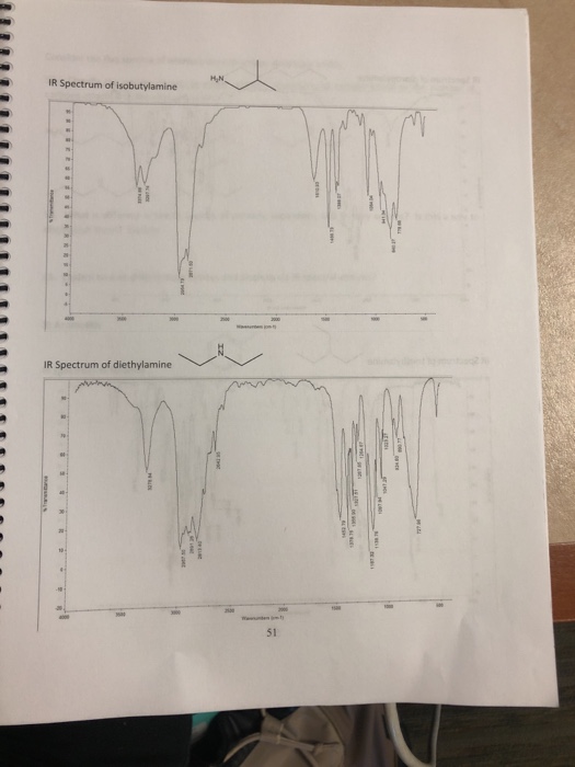 Solved IR Spectrum of butylamine | Chegg.com