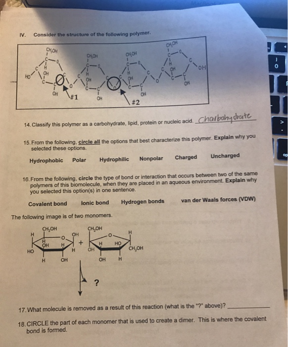 Solved Consider the structure of the following polymer. OH 0 | Chegg.com