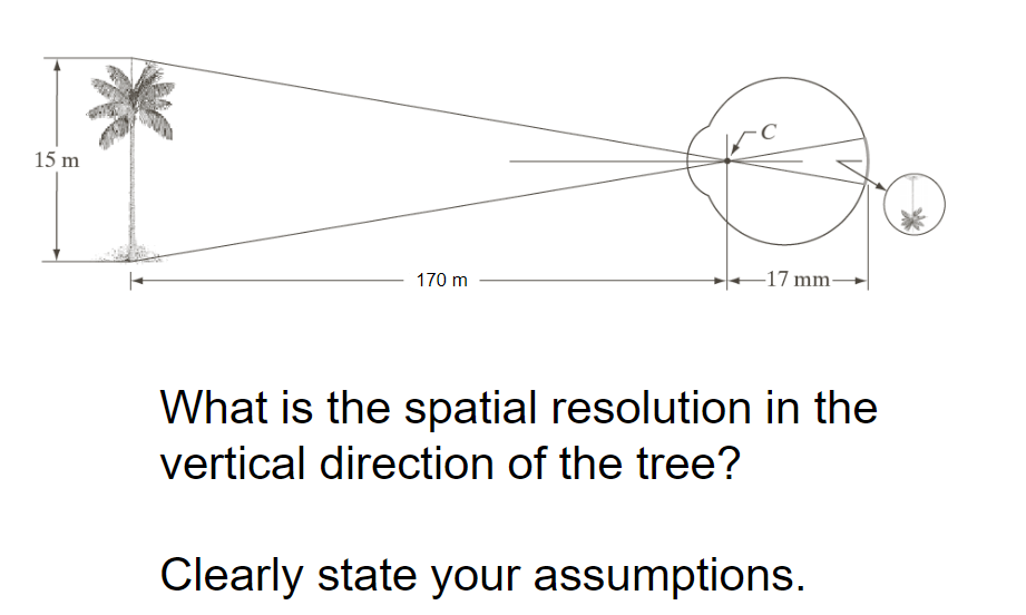 Solved What is the spatial resolution in thevertical | Chegg.com