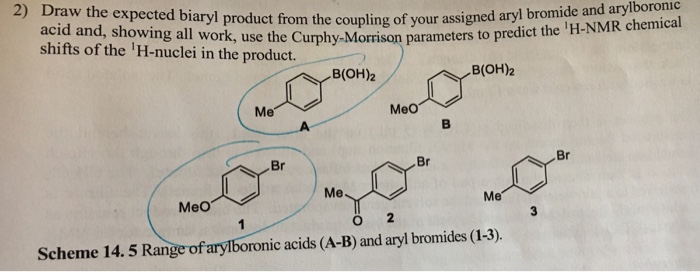 Solved 2) Draw the expected biaryl product from the coupling | Chegg.com
