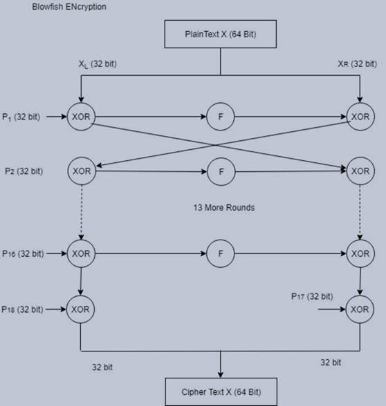 Solved Blowfish ENcryption Plain Text X (64 Bit) XL (32 bit) | Chegg.com