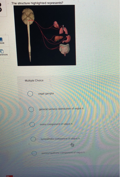 Solved The structure highlighted represents? ook erences | Chegg.com