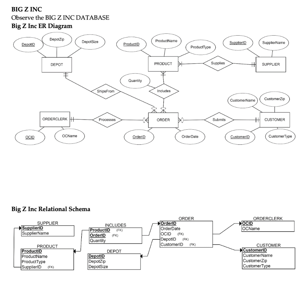 Solved BIG Z INC Observe the BIG Z INC DATABASE Big Z Inc ER | Chegg.com