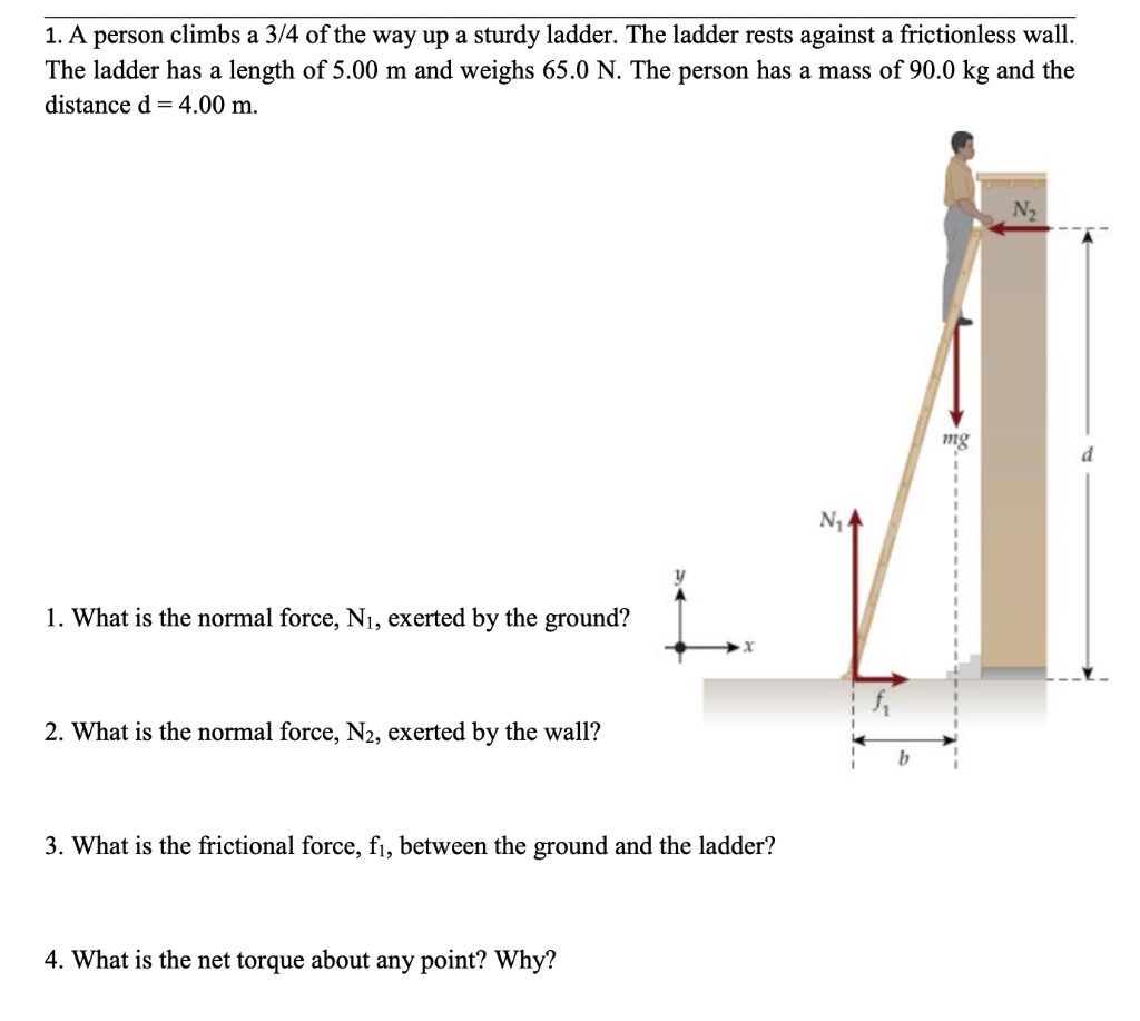 Solved 1. A person climbs a 3/4 of the way up a sturdy | Chegg.com