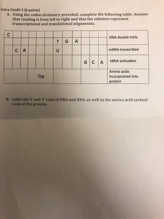 Solved Extra Credit 2 (6 points) A. Using the codon | Chegg.com