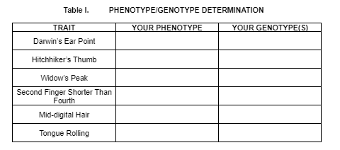 Solved Table I. PHENOTYPE/GENOTYPE DETERMINATION | Chegg.com