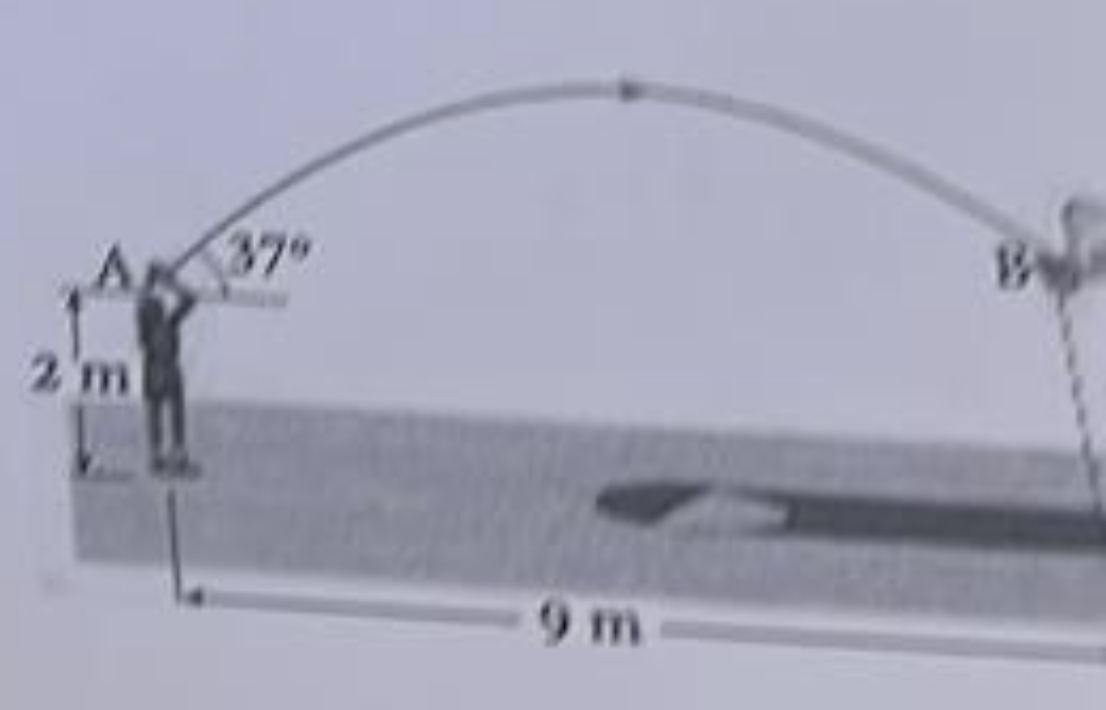 Solved A basketball player who is 2m tall is standing on the | Chegg.com