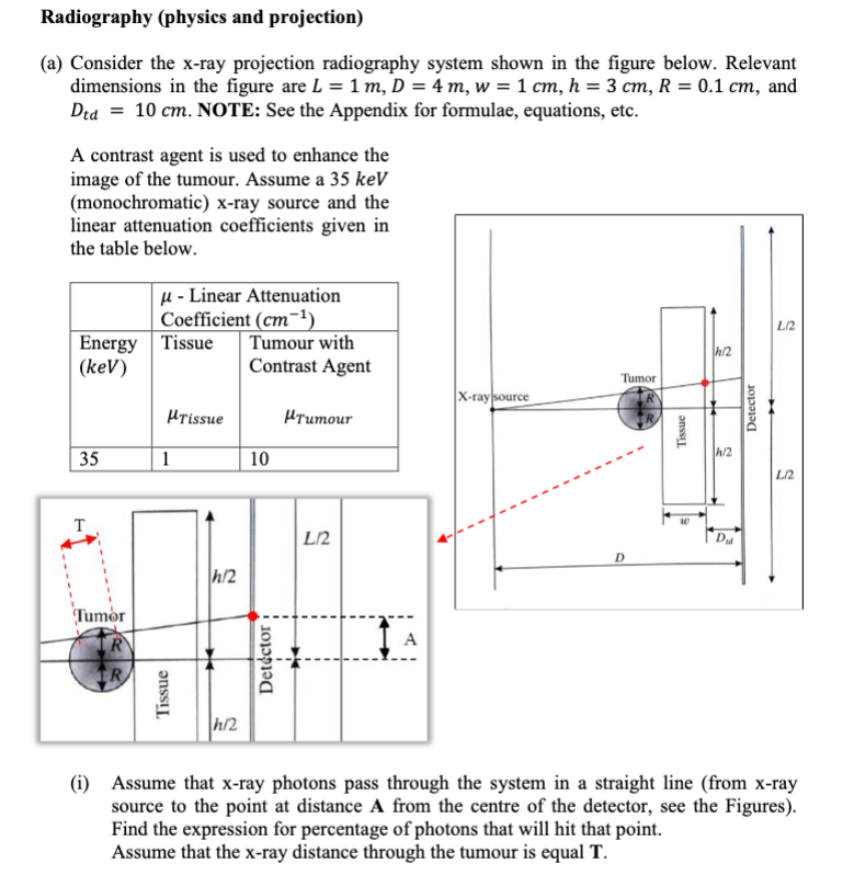 Solved Radiography (physics and projection) (a) Consider the | Chegg.com