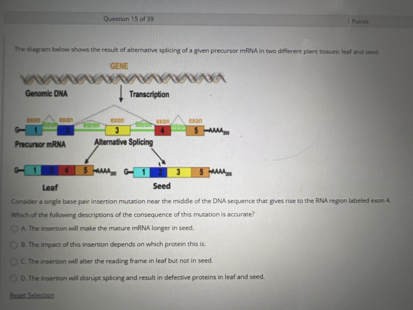 Solved The diagram below shows the result of alternative | Chegg.com