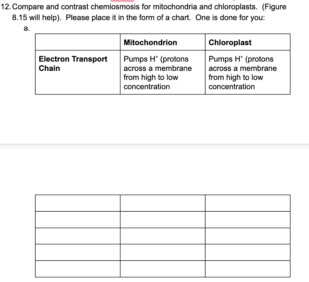 Chemiosmosis In Chloroplasts And Mitochondria