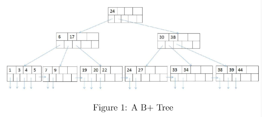 Solved Consider the following B+ Tree, as shown below, of | Chegg.com