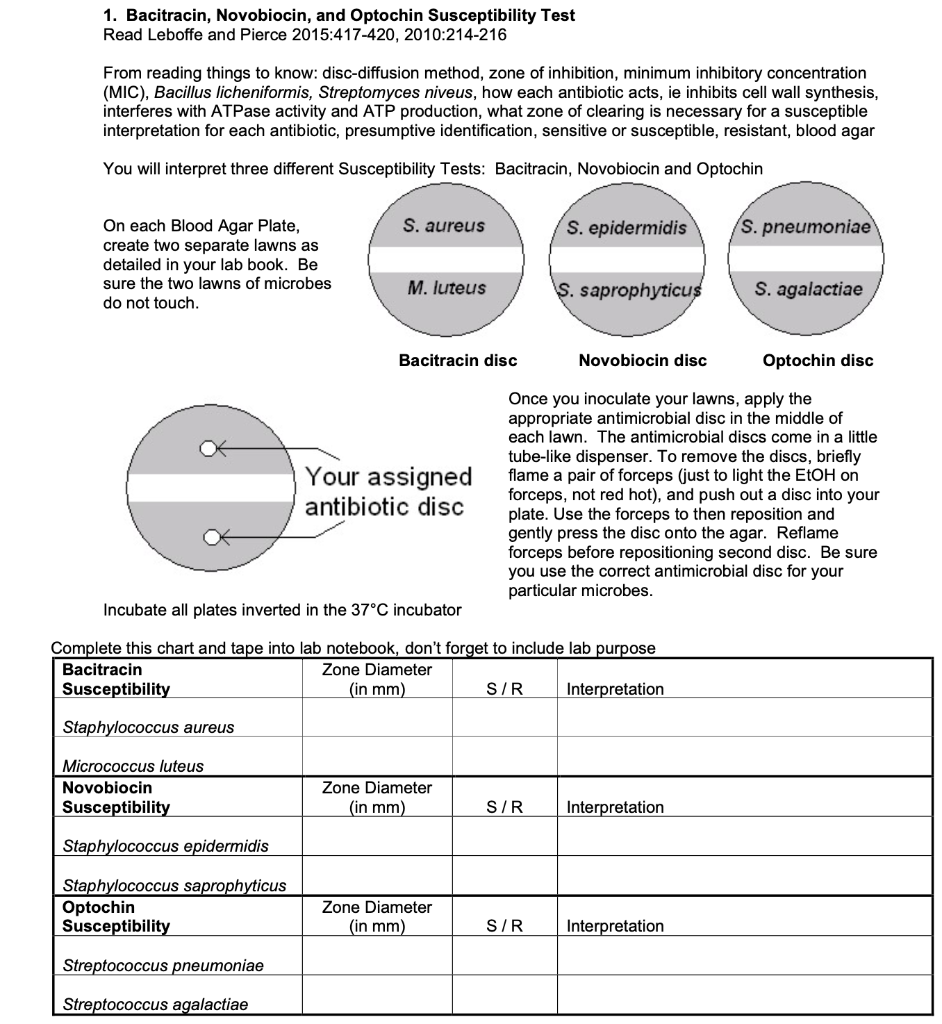 1. Bacitracin, Novobiocin, and Optochin | Chegg.com