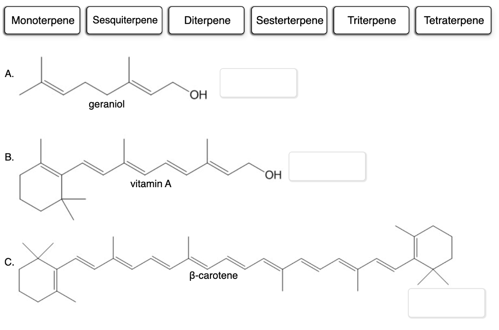 Solved Monoterpene Sesquiterpene Diterpene Sesterterpene | Chegg.com
