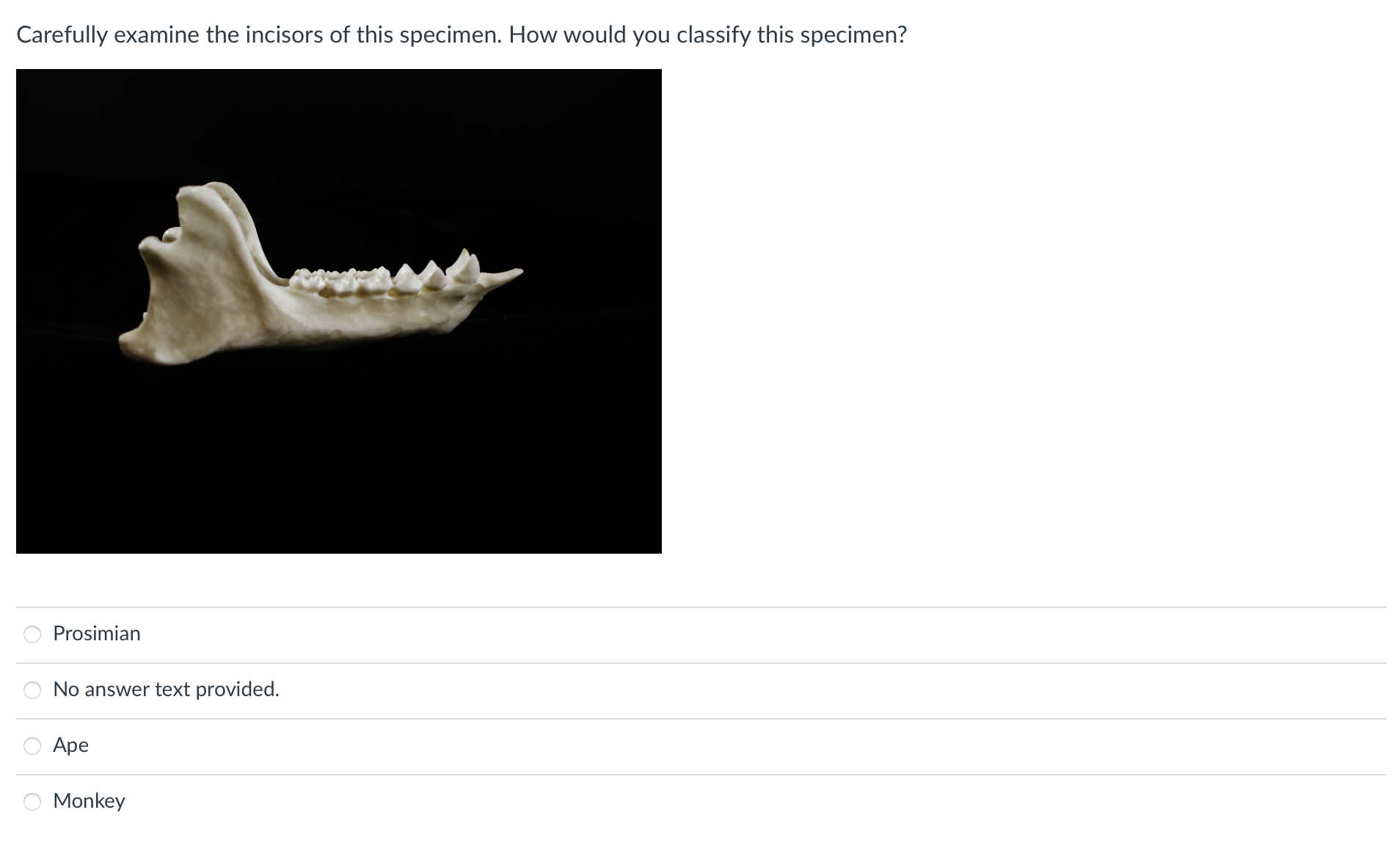 Solved Carefully examine the incisors of this specimen. How | Chegg.com