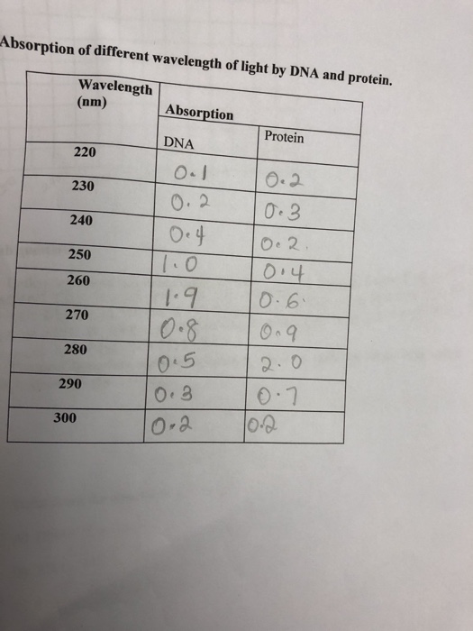 Solved Absorption of different wavelength of light by DNA | Chegg.com