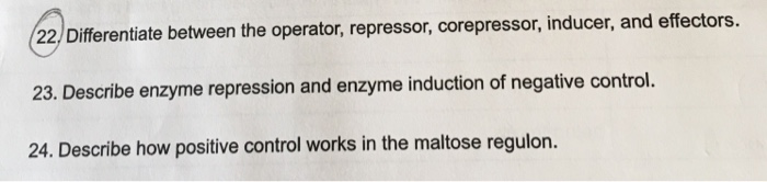 Solved operator, repressor, corepressor, inducer, and | Chegg.com