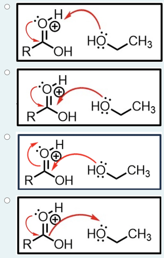 Solved The mechanistic arrow (see p. 32 of your lab manual) | Chegg.com