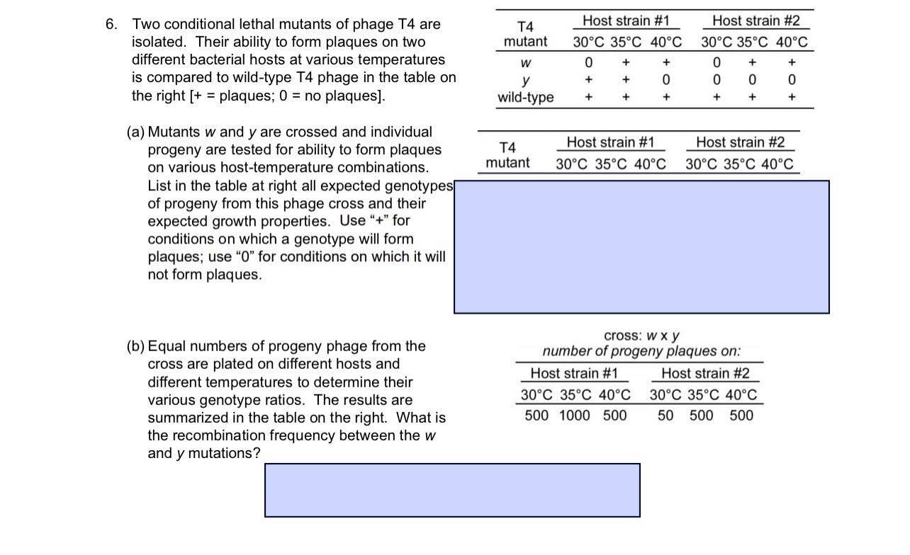 Solved T4 mutant Host strain #2 30°C 35°C 40°C 6. Two | Chegg.com