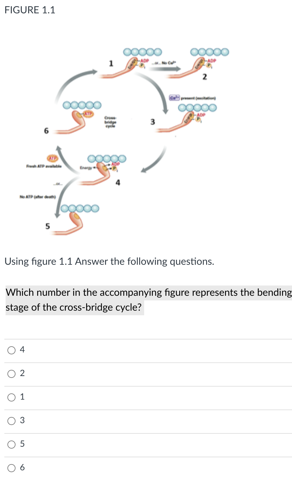 Solved FIGURE 1.1 Using figure 1.1 Answer the following | Chegg.com